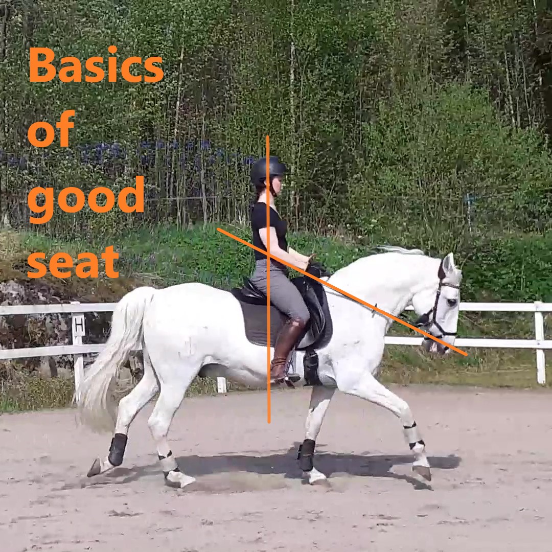 Balanced riding, correct movement. Find harmony with your horse ...